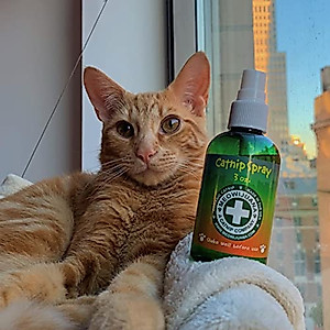 Meowijuana | 3 Oz. Premium Catnip Spray | Organic | High Potency | Use On Cat Toys, Teasers, and Scratchers | Grown in The USA | Feline and Cat Lover Approved