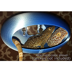 Stroodies Giant Bubbleloft Hide for Arboreal Geckos | Especially Adult Cresties | Includes 4X Suction Cups | (LeafGreen)