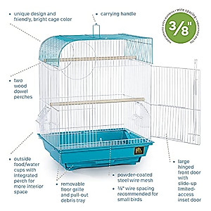 Prevue Pet Products South Beach Flat Top Bird Cage, Teal (SP50061)