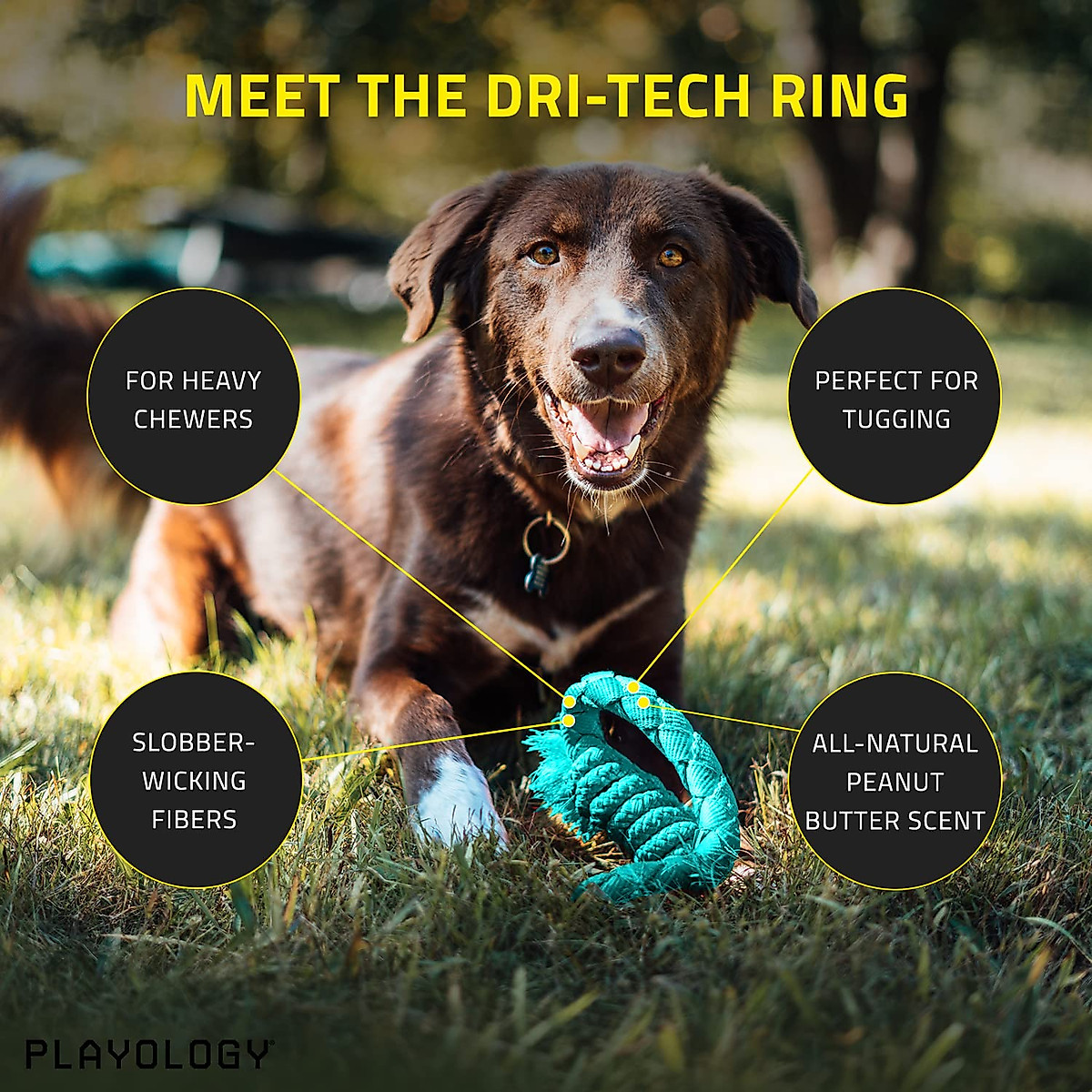 Playology Dri-Tech Ring Peanut Butter Dog Toy Large