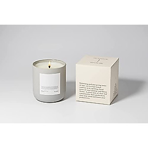 Sisu Scents | Fresh Focus | Sicilian Lemon, Jasmine & Lemon Flower | Luxury Scented Jar Candle | Made in California | Vegan & Clean Burning | 8oz