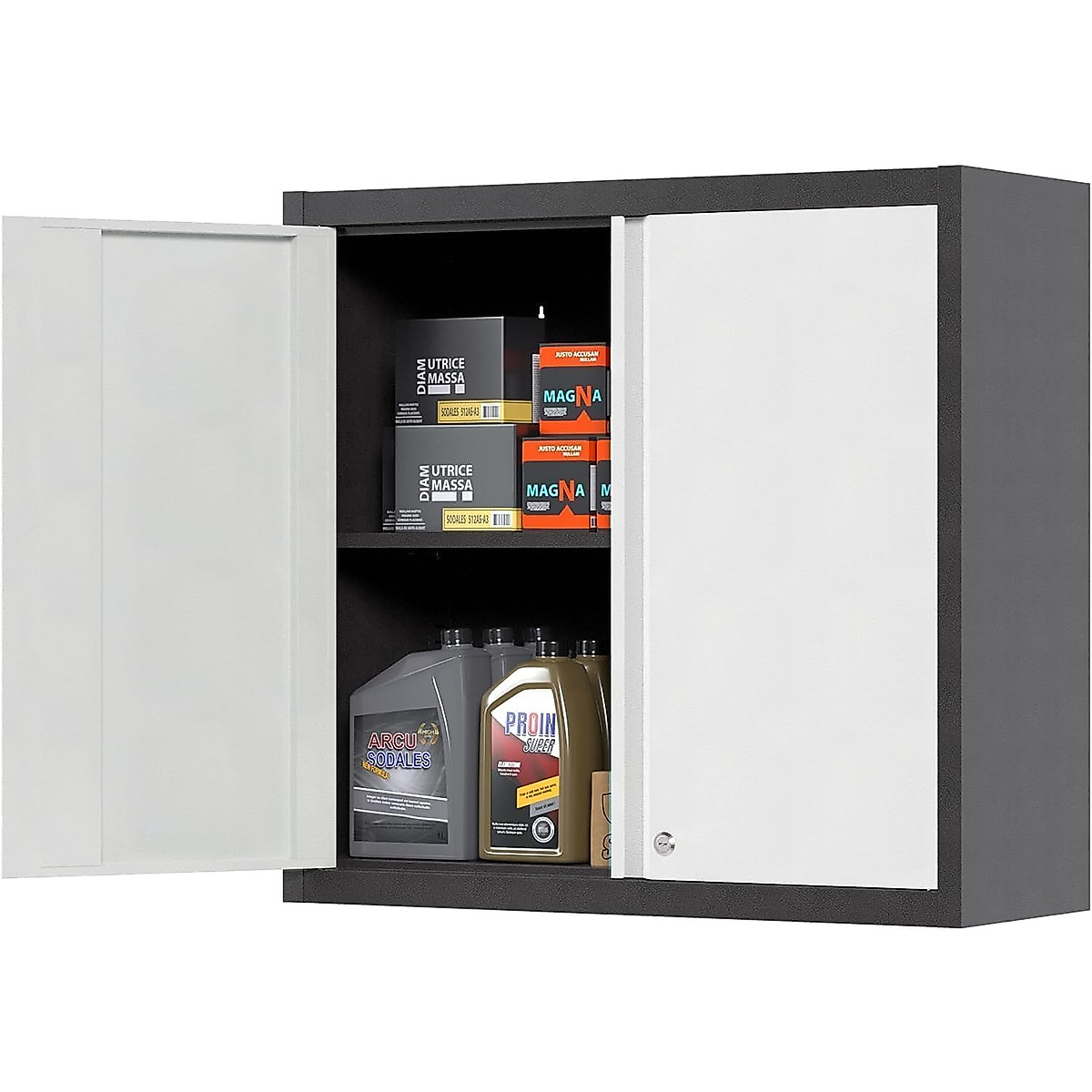 Metal Wall Storage Cabinet with Two Door and Adjustable Shelves,Cabinet Wall Mount for Garage Workshop,Kitchen Dining, Living Room