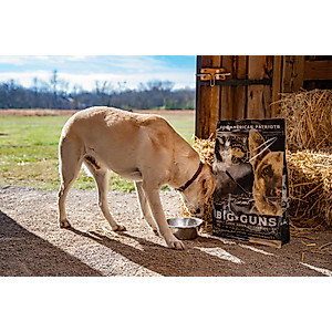 Old Guard Pet Company Big Guns Adult Large Breed Chicken