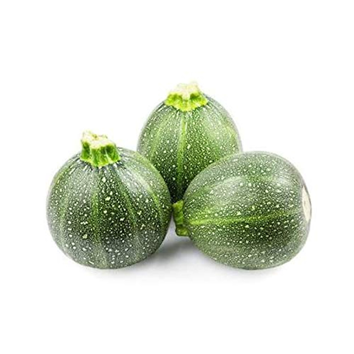 Round Zucchini Summer Squash Seeds for Planting, (Eight Ball Zucchini), 40+ Heirloom Seeds Per Packet, (Isla's Garden Seeds), Non GMO Seeds, Botanical Name: Cucurbirta Pepo