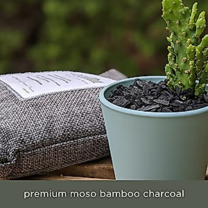 Moso Natural Air Purifying Bag 200g. A Scent Free Odor Eliminator for Cars, Closets, Bathrooms, Pet Areas. Premium Moso Bamboo Charcoal Odor Absorber. Two Year Lifespan! (Charcoal Grey)