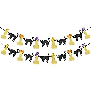 Hocus Pocus Bachelorette Party Banner Garland for Houcs Pocus Bachelorette Party Halloween Bachelorette Party Decorations