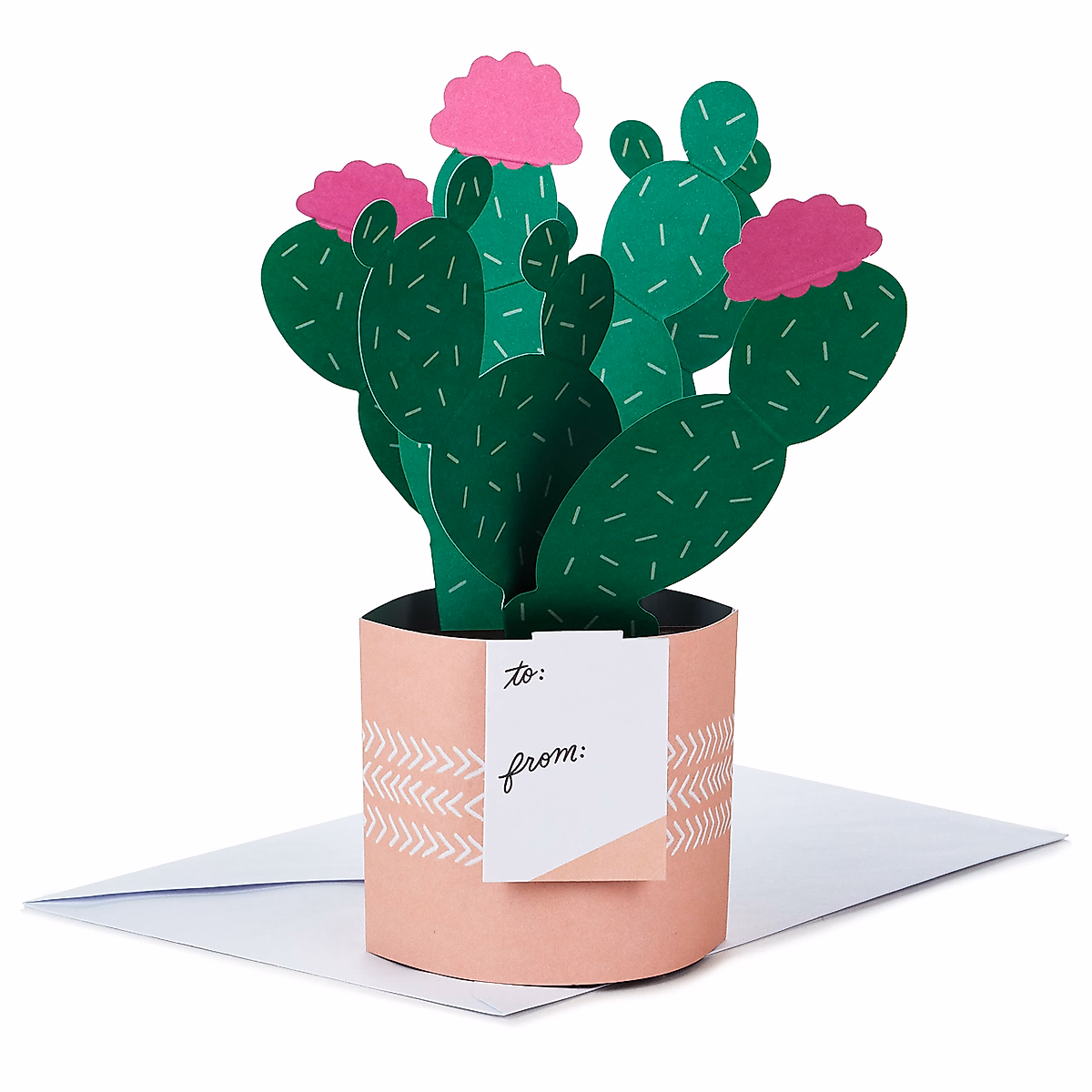 Hallmark Paper Wonder Pop Up Card (Potted Cactus) for Mother's Day, Birthday, Thinking of You, Congrats, Get Well, Appreciation, Any Occasion