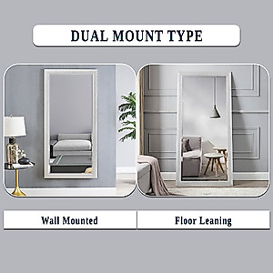 Naomi Home Samantha Woven Floor Mirror Full Length Mirror Standing Large Rectangle Full Body Long Mirrors for Bedroom Dressing Room Silver 66 L x 32 W