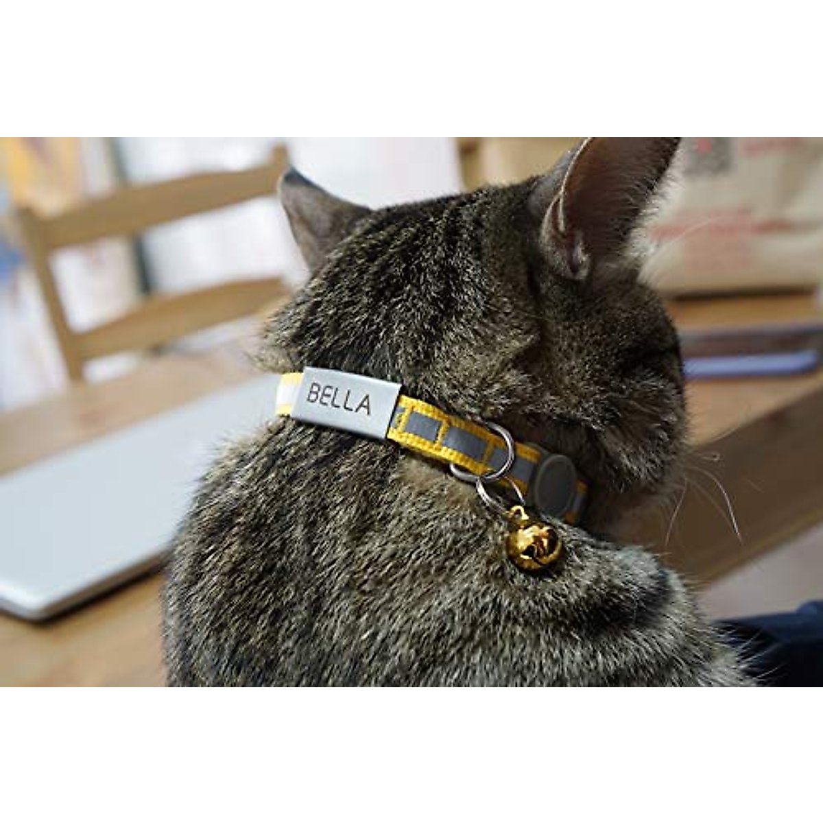 Custom Breakaway Cat Collars with Bell - Engraved Stainless Steel No Noise Slide-On Identification Tags On Collar - Up to 3 Lines of Personalized Text (Reflection)