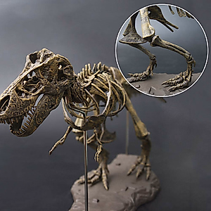 3D T-Rex Dinosaur Skeleton Model Puzzles Simulation Educational Toy Pre-School Teaching Soft Non-Toxic PVC Material Gifts