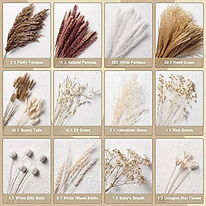 121pcs Dried Pampas Grass Decor, Boho Home Table Fall Decor Dried Flowers, White & Natural Pampas Grass, Reed Grass, Bunny Tails, 17 inch Pompass Grass for Wedding Home Decoration, Farmhouse Party