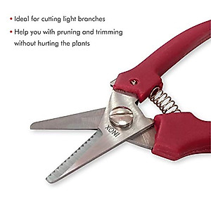 Avarosa Shears Gardening Tools, Plant Shears, Garden Shears Pruning, Pruning Shears, Garden Scissors, Pruning Shears for Gardening, Pruning Scissors for Gardening Trimming Plants, Garden Tools.