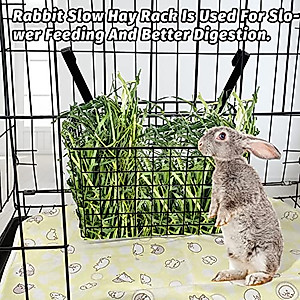 kathson Rabbit Slow Hay Feeder, Metal Hay Rack 0.8" Mesh Holes Bunny Hay Feeder Rack Slow Down Eating Minimize Waste and Mess Pet Metal Hookable Manger for Rabbit Bunny Guinea Pig Chinchilla