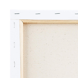 Premiere by Nicole 10 Pack Stretched Canvas for Painting,8x10|Bulk Value Pack Plain White Rectangular Canvases|Triple Acrylic Gesso Primed|Art Supplies for Acrylics,Oil Painting,DIY Wall Decor