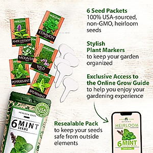 (6 Variety) Mint Seeds for Planting Outdoors or Indoors - Peppermint, Spearmint, Mountain Mint, Wild Mint, Anise Hyssop, & Common Mint | Non-GMO, Heirloom Herb Seed,Grow Your Own Mint Plants Live
