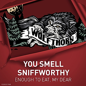 Old Spice Aluminum Free Deodorant for Men, Wolfthorn, 48 Hr. Protection, 3.0 oz