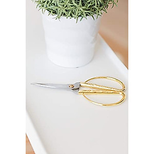 Premium Houseplant Scissors and Pruning Shears - Comfortable Grip Garden and Plant Clippers, Trimmers, Loppers, Flower Cutters, Made from 100% Stainless Steel