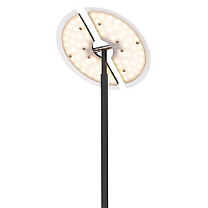 Worldwide Lighting AMZ63442-001 Mantis Floor Lamp, Black