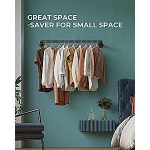 OROPY Industrial Pipe Clothing Rack 38.4", Heavy Duty Detachable Wall Mounted Clothes Rack Black Iron Garment Bar, Multi-purpose Hanging Rod for Closet Storage, Black (Two Base)