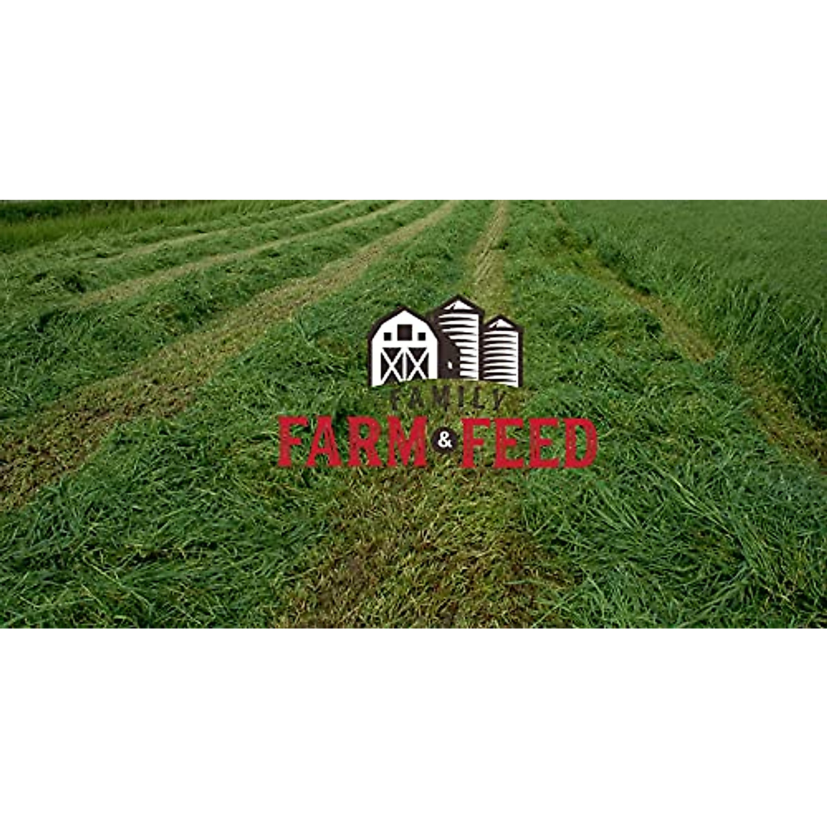 FAMILY FARM AND FEED | Alfalfa Hay Food | Small Pet | Young and Adult | Cubes | 4 Pounds