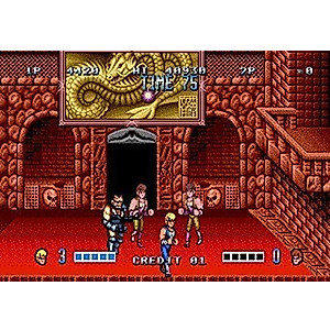 Double Dragon (Sega Genesis) - Reproduction Video Game Cartridge