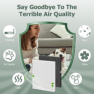 Improvedhand 116130 Filter Replacement for Winix 5500-2 and AM80 Air Puri-fier, Include 1 Set H13 True HEPA Filter and Activated Carbon Odor Filter