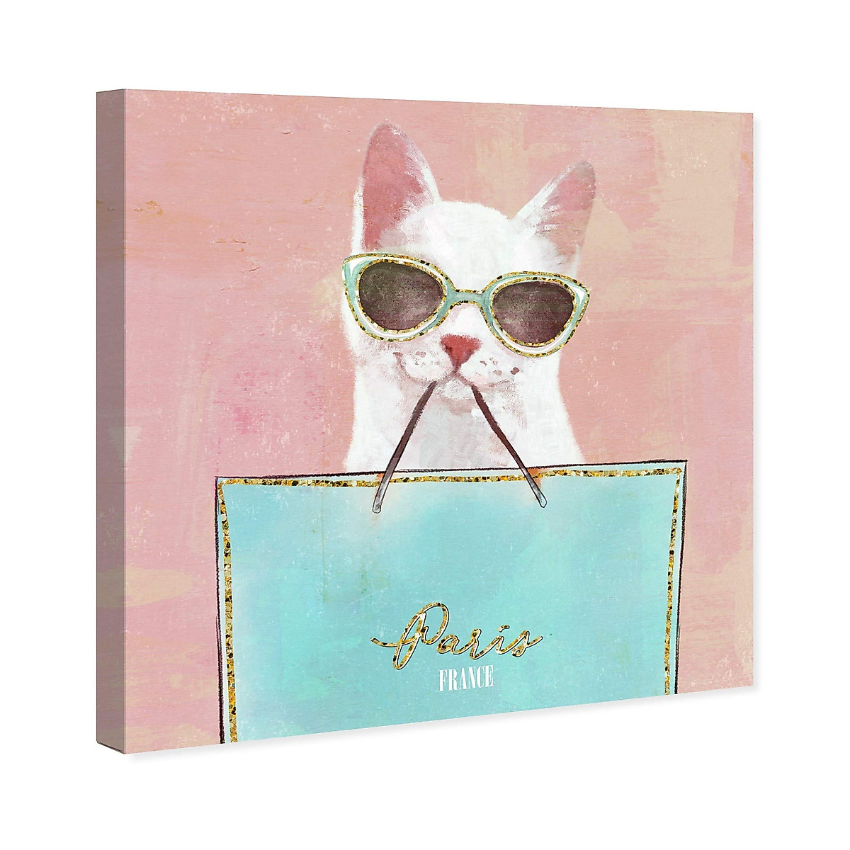 Wynwood Studio Fashion and Glam Wall Art Canvas Prints 'Shopping Cat' Accessories Home Décor, 12" x 12", Blue, Gold