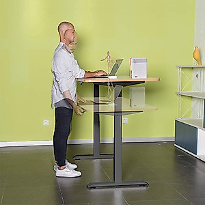 Fromann Electric 3 Tier Legs Dual Motor Standing Desk Frame Heavy Duty 300lb Sit Stand up Height Adjustable Desk Base for Home and Office (Black)