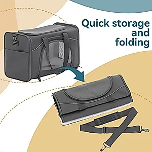 Petsfit Two-Way Placement Dog Carrier Cat Carrier, 19"x 12"x 9" Soft-Sided Airline Pet Carrier for Kittens, Puppies up to 15 Lbs, Gray