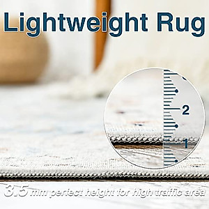 COLLACT Runner Rug 2x5 Area Rug Persian Rug Door Mat Vintage Distressed Rug Entrance Mat Foldable Thin Rug Blue Floral Print Carpet Non Slip Boho Farmhouse Kitchen Living Room Bedroom Dining Room