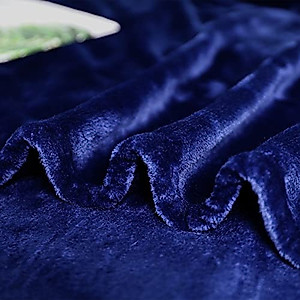 Throw Blankets Queen Size, Super Soft 350GSM Thick Fuzzy Warm Blanket for Bed and Sofa, Dark Blue, 60x80 inches