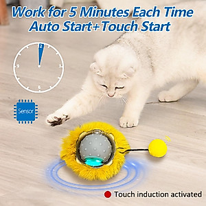 Sofolor Motion Activate Interactive Cat Toys - Automatic Moving Ball Toys for Indoor Cats, Self Rotating Ball with Lights, Electric Cat Mice Toys, USB Rechargeable, Auto On/Off