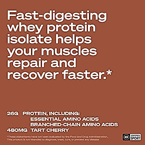 LADDER Grass Fed Whey Protein Powder Packets, 26g Protein for Muscle Gain, 7g BCAAs, 14g EAAs, No Artificial Sweeteners, NSF Certified (Chocolate, Pack of 15)