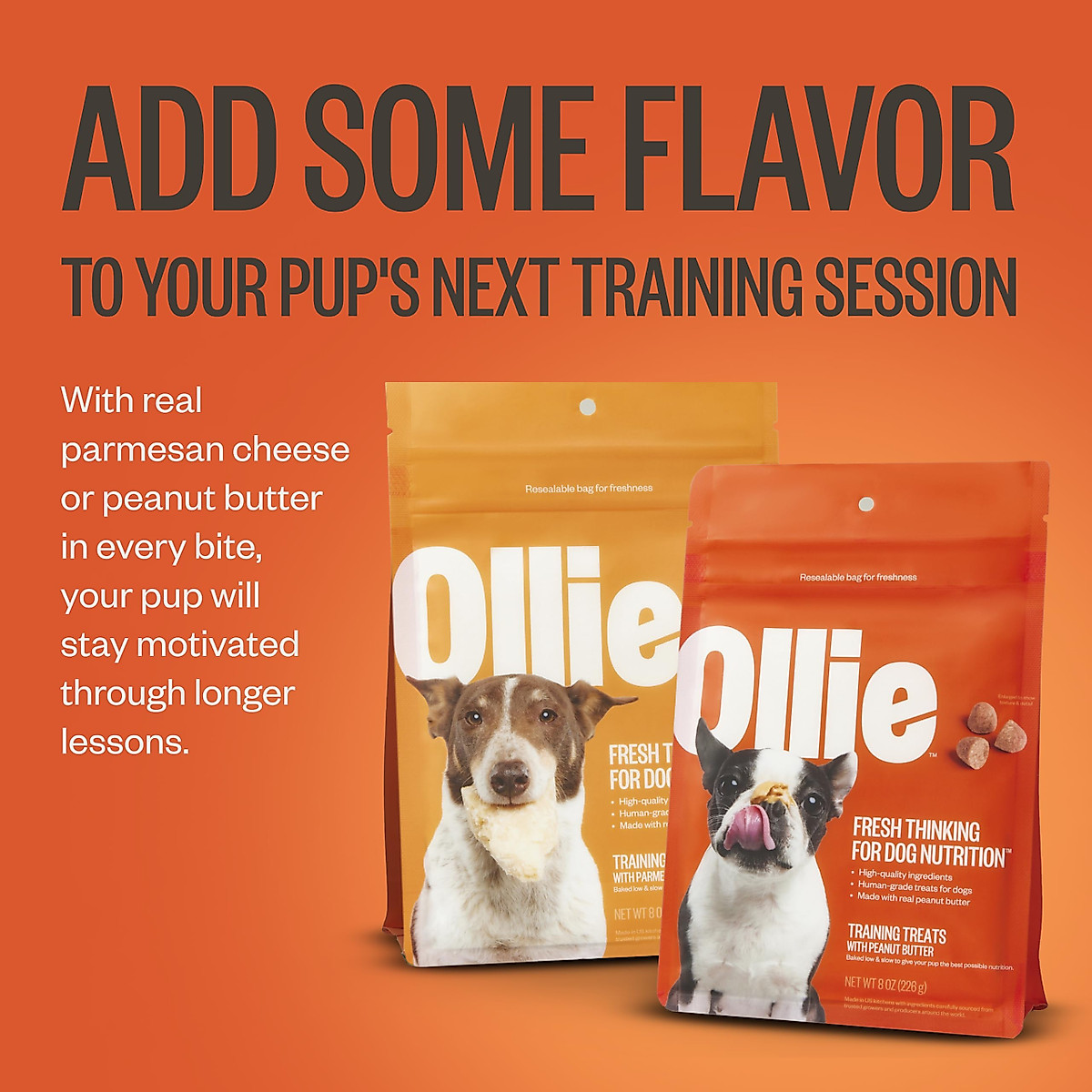 Ollie Soft Training Treats Variety Pack - Parmesan & Peanut Butter Recipe - Dog Training Treats All Natural - Healthy Dog Treats - 100% Human Grade - Baked in USA Kitchens 16 Oz.