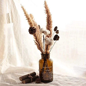 JOHOUSE Natural Pine Cones, Christmas Rustic Pinecones Fall Garland Halloween Thanksgiving Decorations, Christmas Tree Fall Ornaments,18 PCS