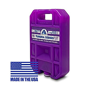 ARCTIC ICE Tundra Series, Long Lasting Reusable Ice Pack, Purple, Large, 2.5 lb