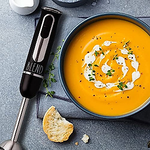 Rae Dunn Immersion Hand Blender- Handheld Immersion Blender with Egg Whisk and Milk Frother Attachments, 2 Speed Blender, 500 Watts, Stainless Steel Blade (Black)