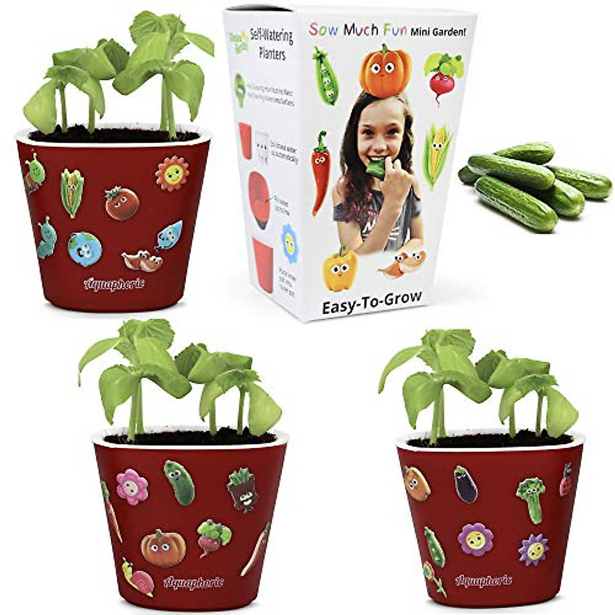 Window Garden Sow Much Fun Seed Starting, Vegetable Planting and Growing Kit for Kids, 3 Self Watering Planters, Soil, Seeds and Puffy Stickers. No Mess, Easy, Works Great! (Cucumber) & (Pumpkin)