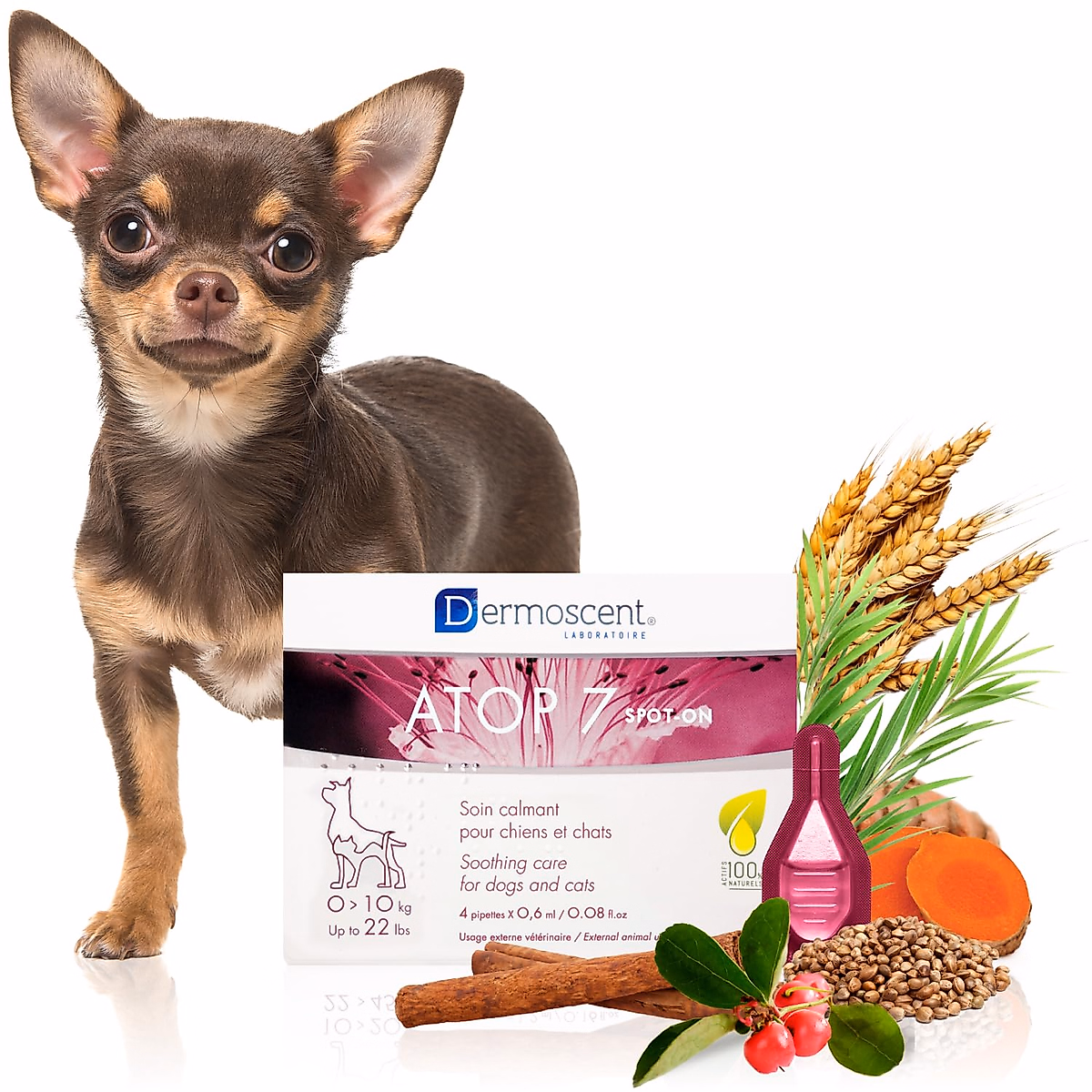 Dermoscent ATOP 7 spot-on - Dogs and Cats Up to 22lbs - Soothing Care for Sensitive, Dry and Itchy Skin or Allergy Prone Skin - Natural Ingredients - 4 pipettes