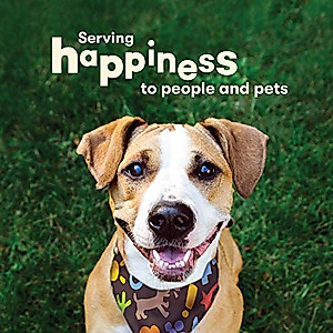 Pet 'n Shape Beef Bone Dog Treats - Made & Sourced in the USA Chewz - Large, 2 Count