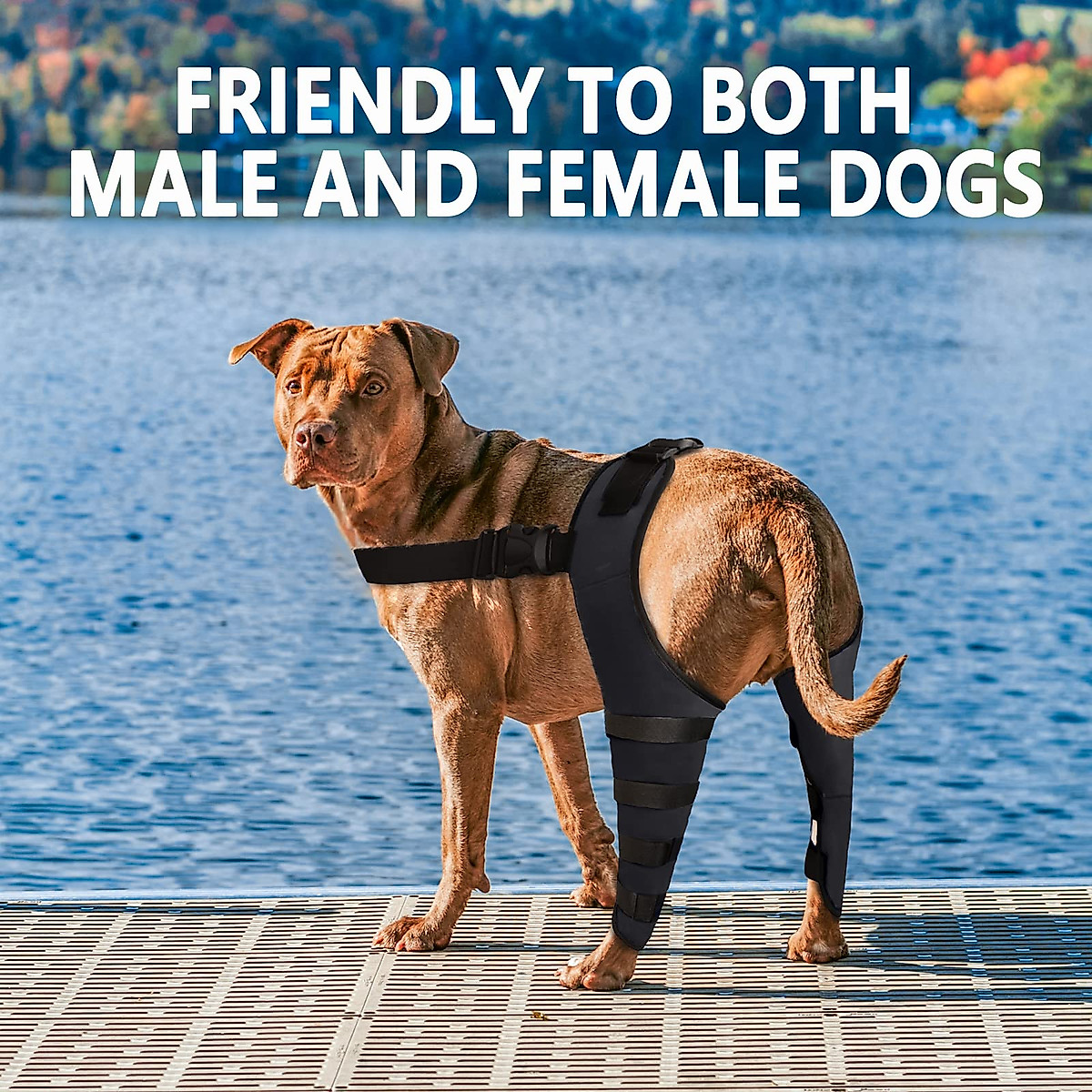 MewMewLand Dog Knee Braces for Pain CCL, ACL, Arthritis, Extra Support, Dog ACL Brace Hind Legs, Black X-Small