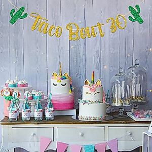 MonMon & Craft Taco Bout 30 Banner / Mexican Fiesta Themed 30th Birthday Banner / Cactus Adios to My 20's Birthday Party Decorations Gold Glitter