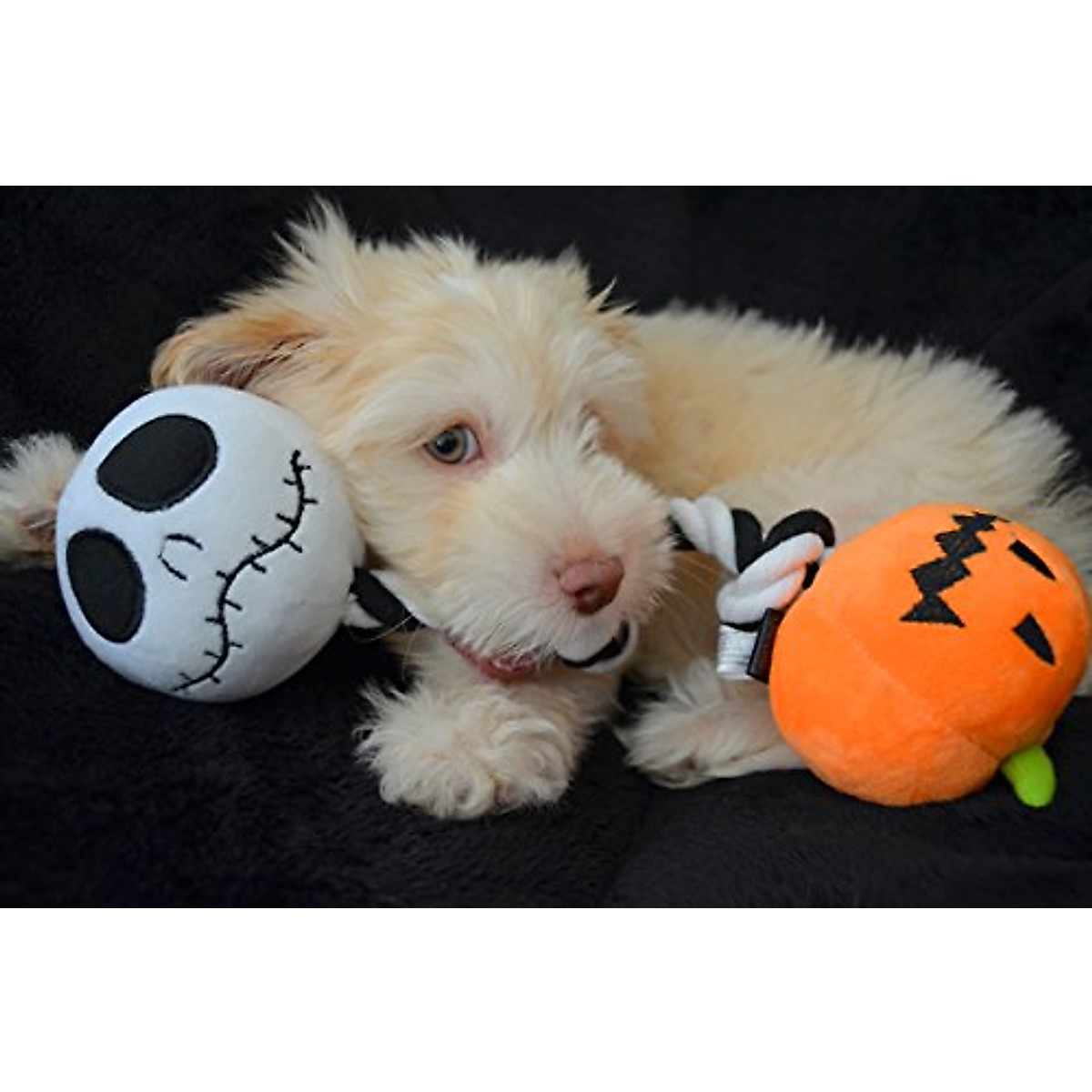 Disney Nightmare Before Christmas Pumpkin King Rope Tug Chew Dog Toy, Two Built-in Squeakers, Multi-Sensory Toy