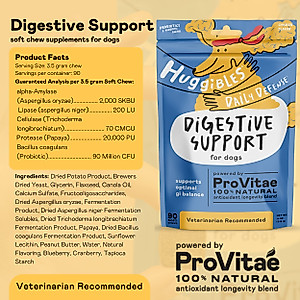 HUGGIBLES Digestive Support with Probiotic Supplement Chews for Dogs – Probiotics & Prebiotics for Daily Gut Health – Support Digestion & Tummy Troubles – Antioxidants for Longevity & Wellness