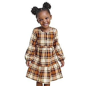 The Children's Place,and Toddler Long Sleeve Fashion Dress,HAY Stack,4T