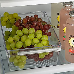 Kitchen Details 2 PK Stainless Lip Fridge & Freezer Organizer, Kitchen, Countertops, Cabinets, Pantry, Large 2 Pack Refrigerator Storage Bins, Super Clear