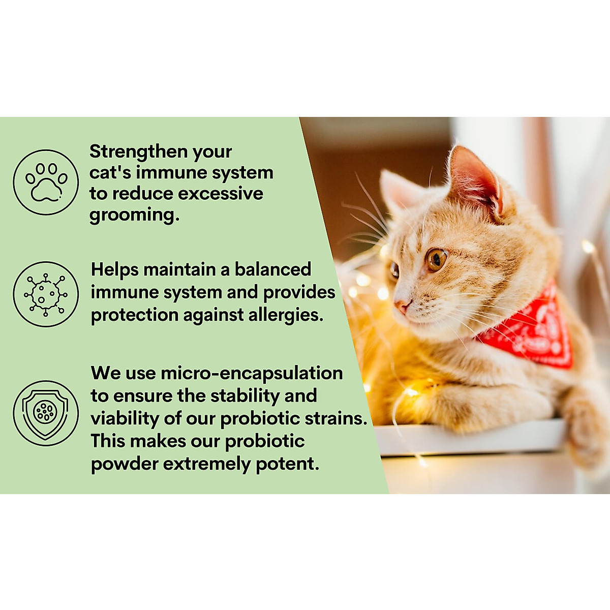 Probiotic for Cats & Kittens - Cat Probiotic Powder for Hairball Prevention, Digestive Support, Immune Health, Prebiotics, and Diarrhea Relief - Suitable for Indoor Cats & Kittens - 60 Scoops