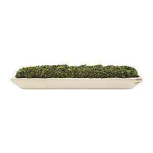 Mud Pie Preserved Moss Paulownia Tray, Natural, 5 3/4" x 25 3/4"