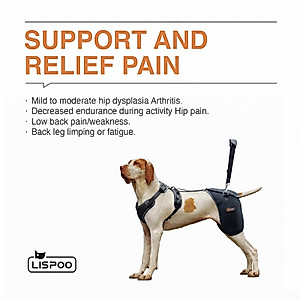 LISPOO Dog Hip Support Brace for Hip dysplasia,Hip Pain, Dog Hip Brace Support for Luxating Pattela,Hip Brace for Dogs Warm Hip Joint and Relieve Pain,Dog Hip Dysplasia Brace(L)