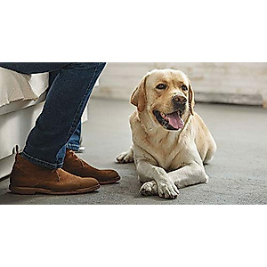 PET SUPPLEMENTS & NUTRITION LLC Dog Anxiety aid - Dog Relaxant - Anxiety and Stress Relief - Calm Aggression - Natural Herbs - Chamomile Calming aid for Dogs - 1 Bottle (90 Treats)